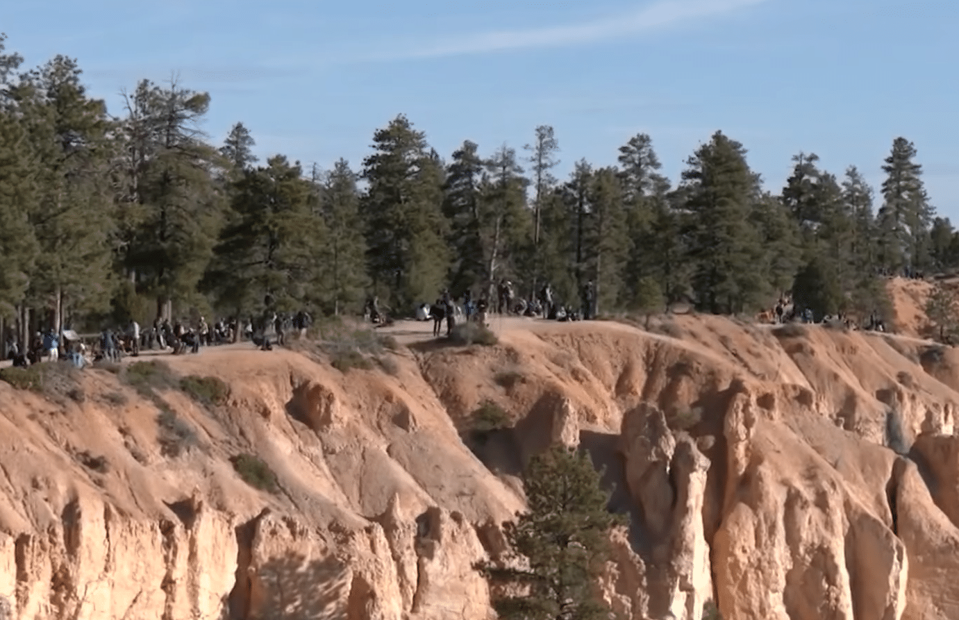 Park ranger dies in freak accident during festival - Informing News