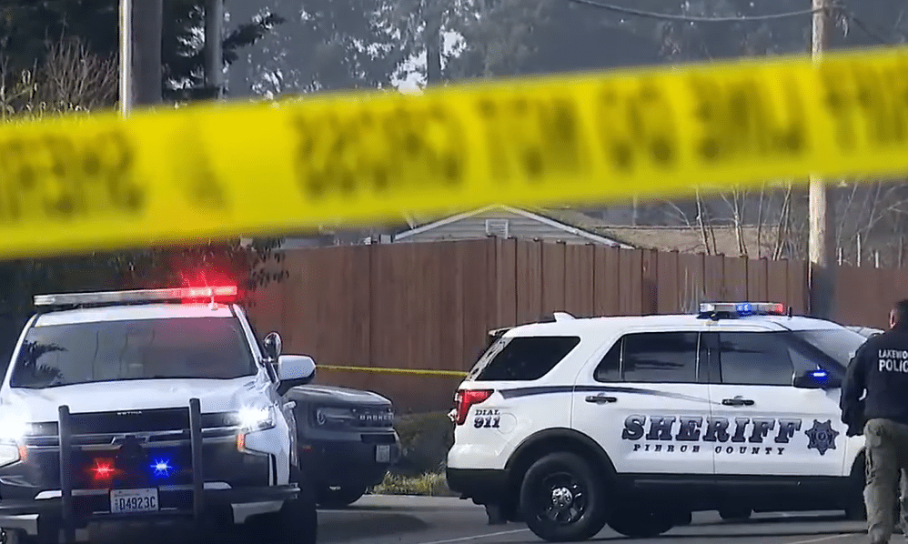 Deputies kill suspect after stabbing of man, dog - Informing News